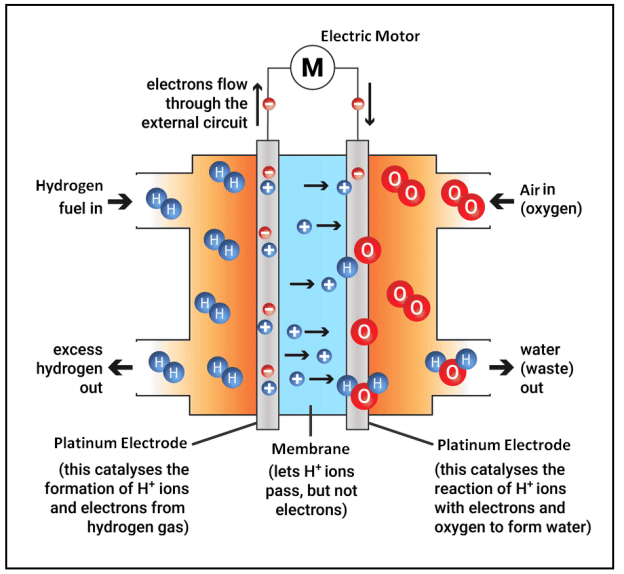 Hydrogen Fuel Cell: ELECTRICAL ENGINEERING MATERIALS
